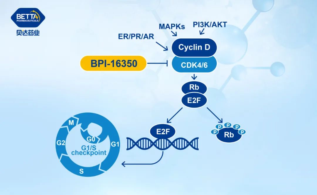 贝达药业BPI-16350药品联用临床试验申请获受理医药新闻-ByDrug-一站式医药资源共享中心-医药魔方