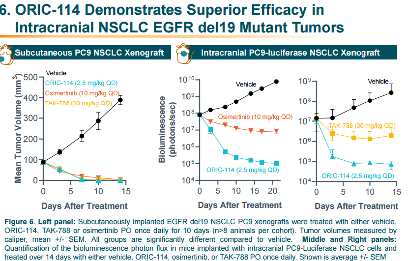 2021 AACR| 聚焦肿瘤耐药创新疗法！这家公司公布4个项目临床前数据医药新闻-ByDrug-一站式医药资源共享中心-医药魔方