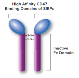 高亲和力SIRPα-Fc融合蛋白（ALX148），疗效惊艳，在2L 及以上HER2阳性胃癌中ORR为72％医药新闻-ByDrug-一站式医药资源共享中心-医药魔方
