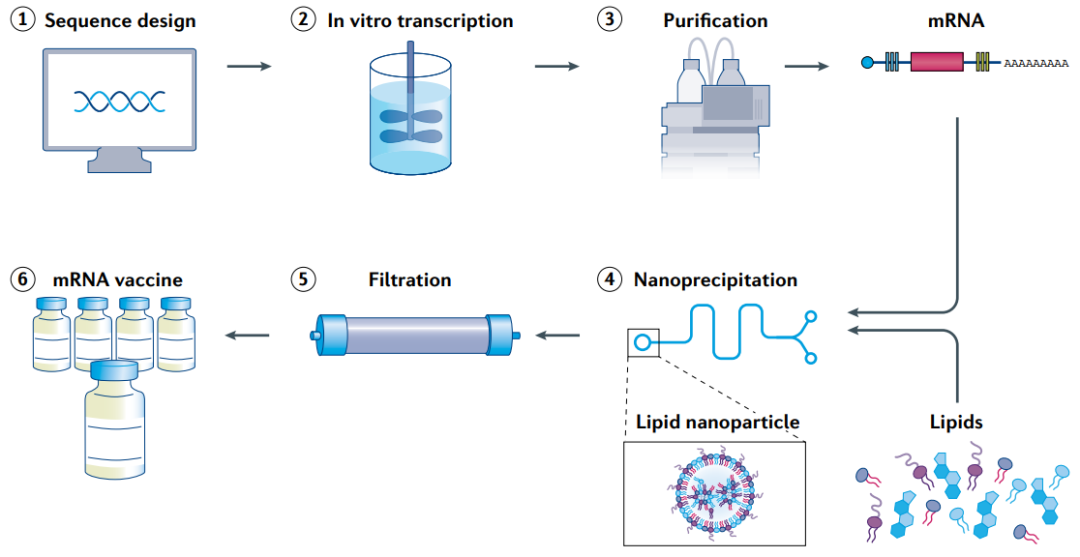 Nature深度报告：一文了解mRNA疫苗设计与工艺、递送系统及关键挑战医药新闻-ByDrug-一站式医药资源共享中心-医药魔方
