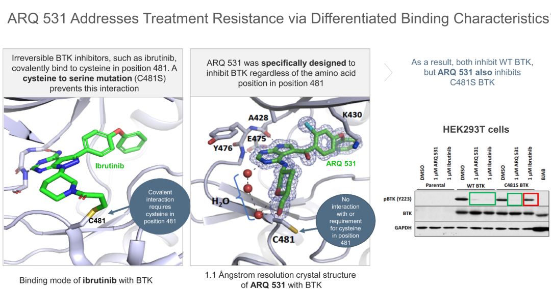 克服BTK耐药，默沙东BTK-C481S抑制剂申报临床医药新闻-ByDrug-一站式医药资源共享中心-医药魔方