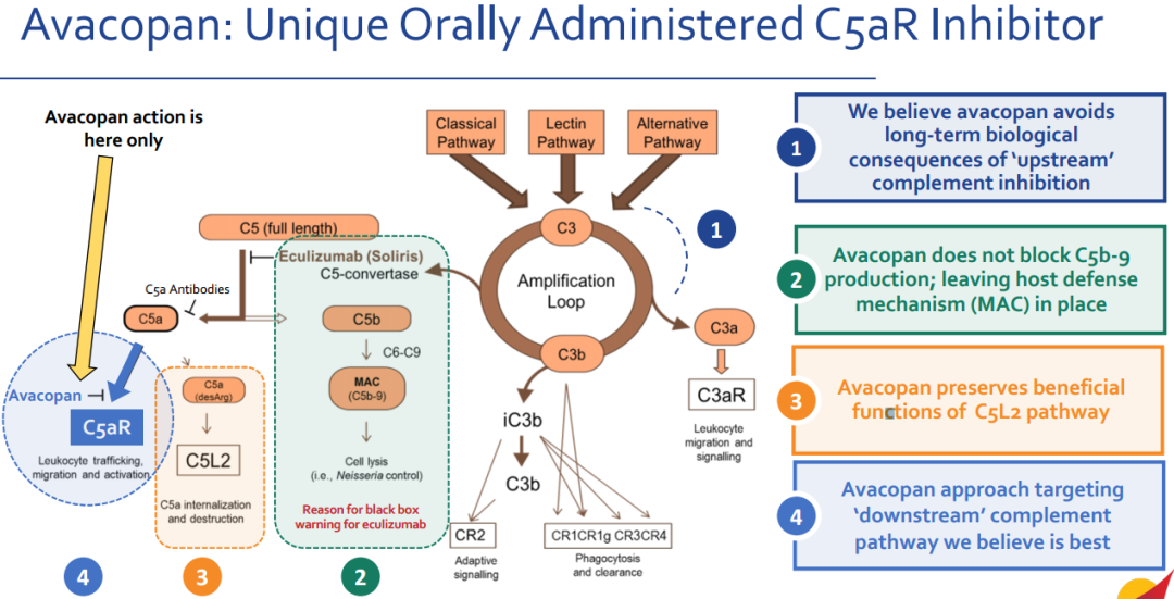 全球首批！first in class 口服补体C5aR抑制剂在日本获批医药新闻-ByDrug-一站式医药资源共享中心-医药魔方