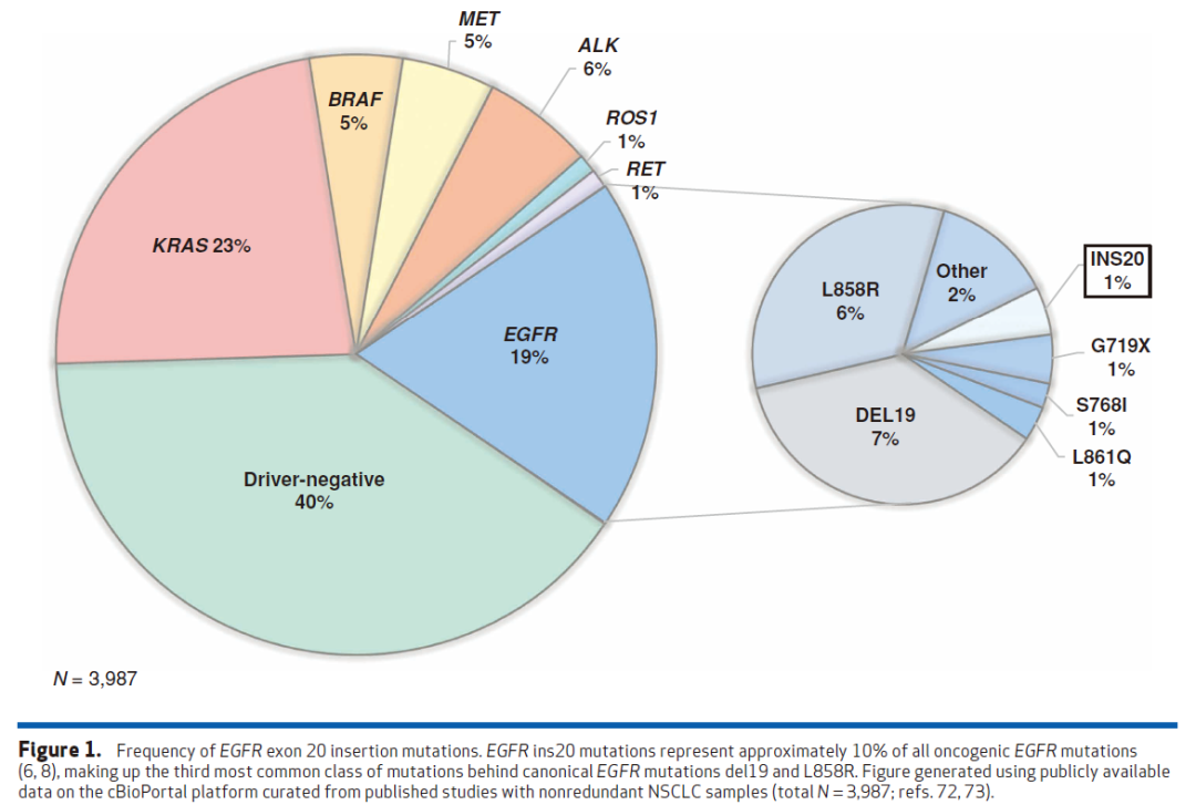 五张图读懂EGFR Exon20抑制剂医药新闻-ByDrug-一站式医药资源共享中心-医药魔方