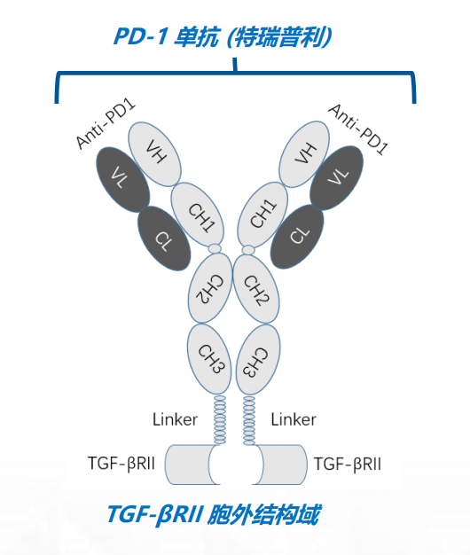 PD-(L)1双抗，能否超越PD-(L)1单抗？医药新闻-ByDrug-一站式医药资源共享中心-医药魔方