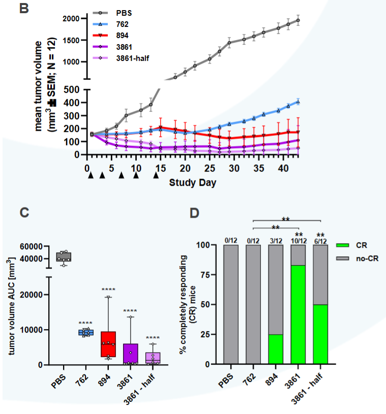 双靶点抗癌RNAi疗法来了医药新闻-ByDrug-一站式医药资源共享中心-医药魔方