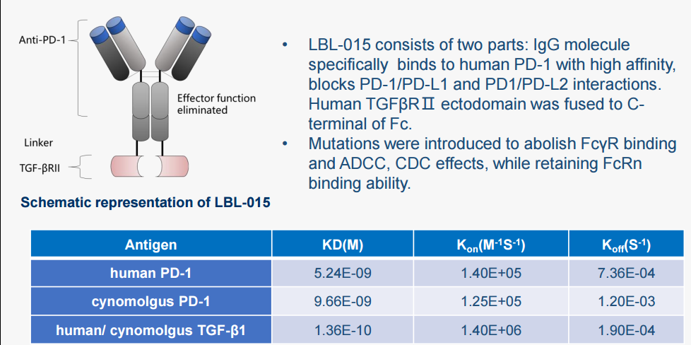 国内首家！维立志博TNFR2单抗申报临床医药新闻-ByDrug-一站式医药资源共享中心-医药魔方