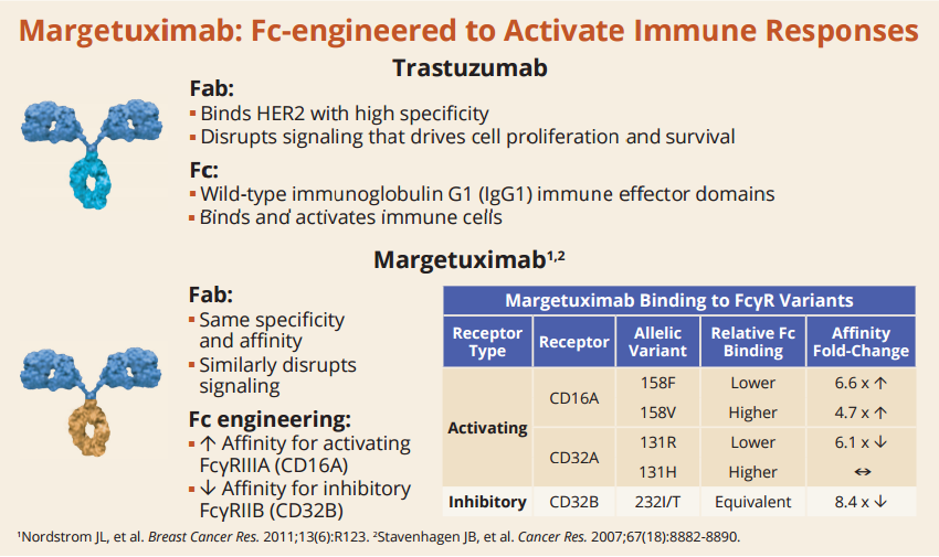 Fc改造HER2单抗III期研究未达到OS终点，再鼎拥有大中华区权益医药新闻-ByDrug-一站式医药资源共享中心-医药魔方