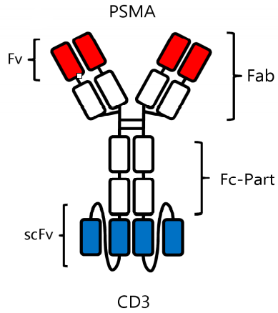 前列腺癌治疗中的双抗开发医药新闻-ByDrug-一站式医药资源共享中心-医药魔方