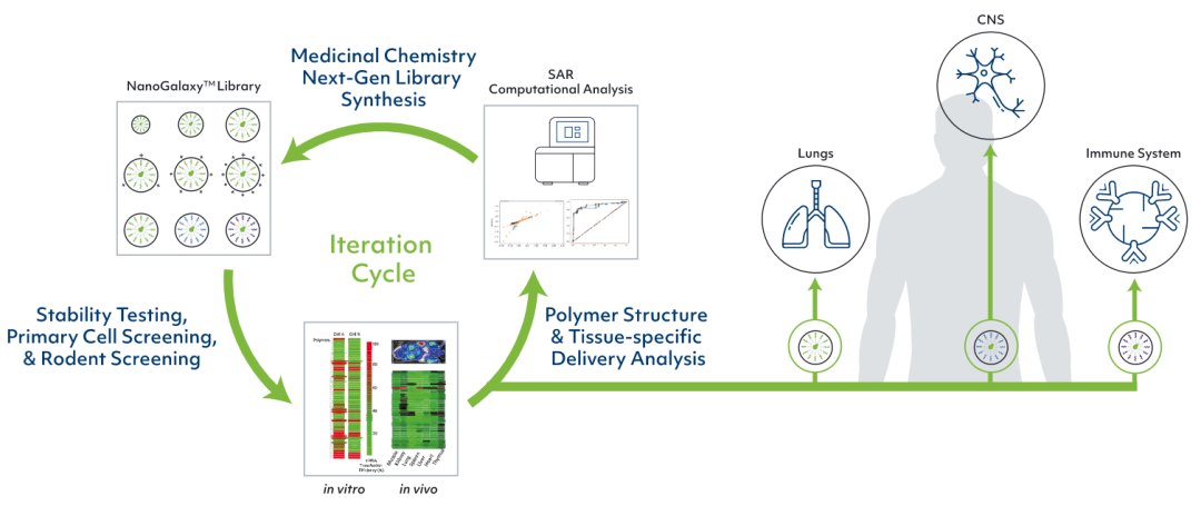 主攻“非病毒载体”！基因疗法公司GenEdit完成A轮融资，礼来、红杉资本参投医药新闻-ByDrug-一站式医药资源共享中心-医药魔方