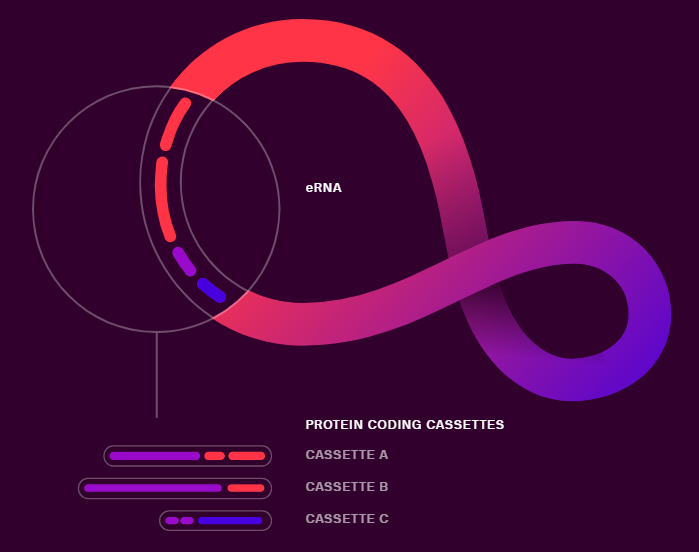 环型eRNA疗法来了！Laronde获5000万美元种子轮融资，新技术“牛”在哪？医药新闻-ByDrug-一站式医药资源共享中心-医药魔方