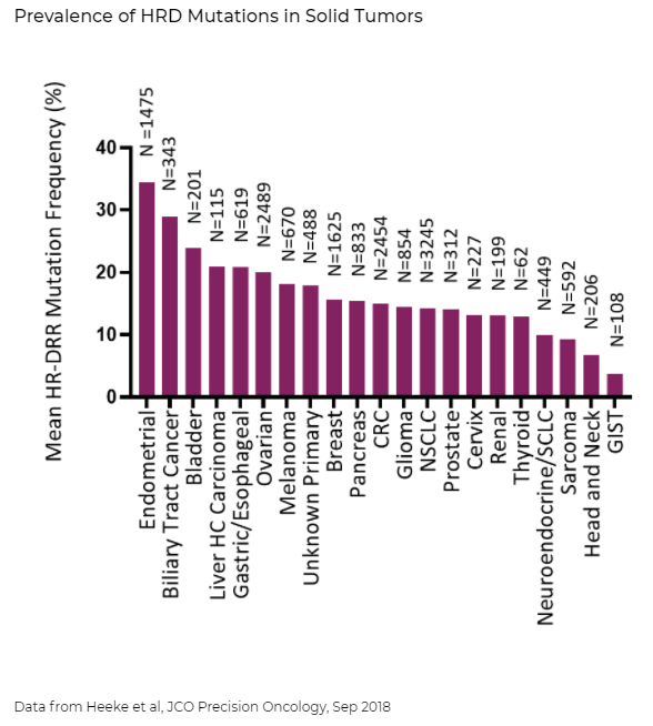 实力靶点Polθ：潜力迸发，巨头入局医药新闻-ByDrug-一站式医药资源共享中心-医药魔方