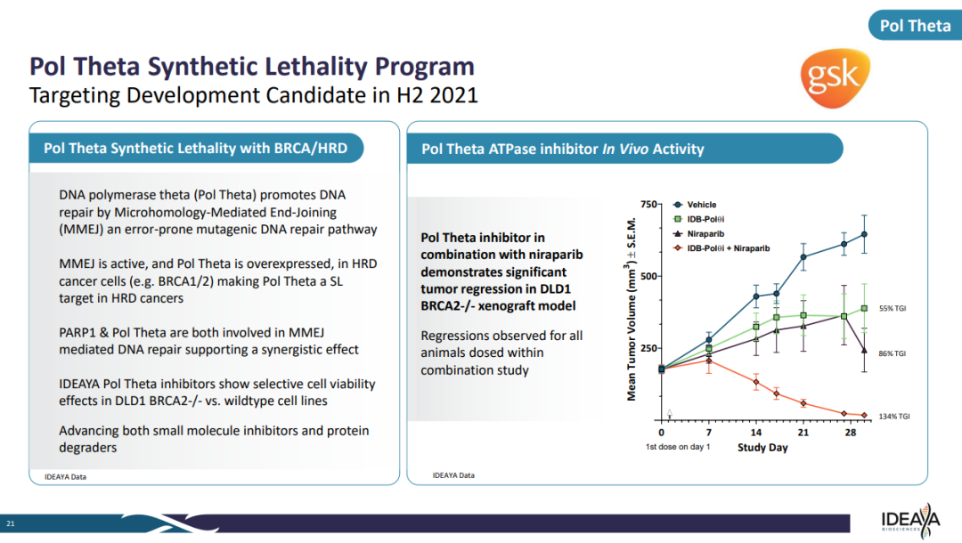实力靶点Polθ：潜力迸发，巨头入局医药新闻-ByDrug-一站式医药资源共享中心-医药魔方