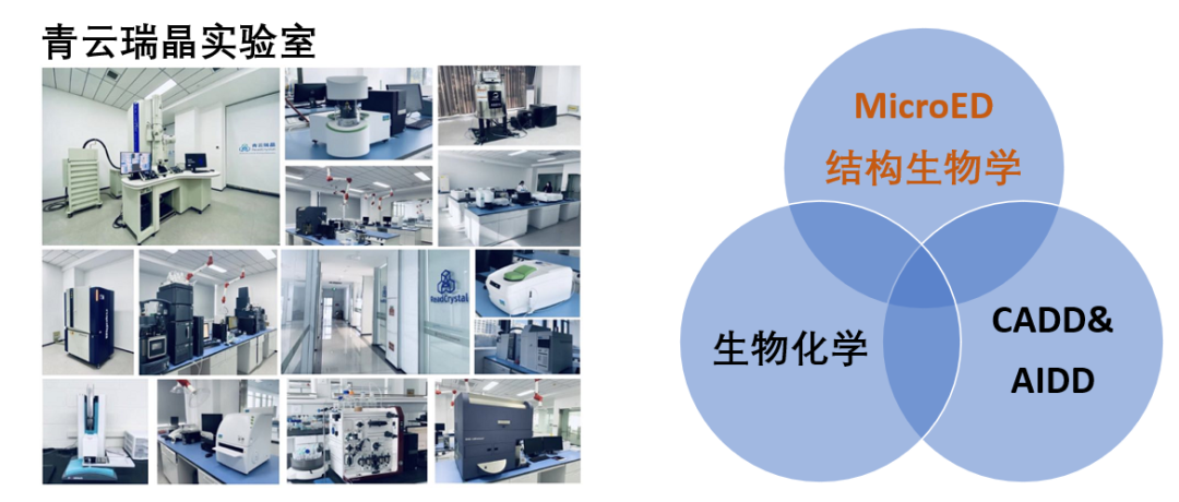 有望取代X射线技术？这家初创计划利用MicroED结构生物学加速药物发现|专访青云瑞晶医药新闻-ByDrug-一站式医药资源共享中心-医药魔方