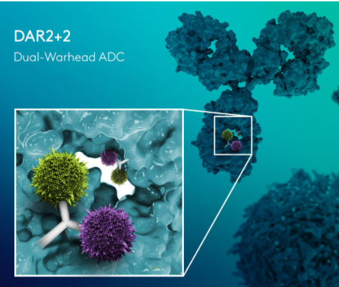 Synaffix公司ADC专利技术解析医药新闻-ByDrug-一站式医药资源共享中心-医药魔方