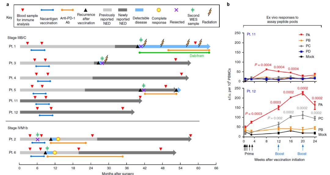 陈枢青点评 | 新抗原疫苗：开启癌症免疫治疗2.0时代医药新闻-ByDrug-一站式医药资源共享中心-医药魔方