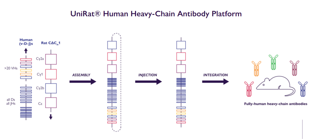 25亿美元！安进收购Teneobio，收获PSMAxCD3双特异性抗体医药新闻-ByDrug-一站式医药资源共享中心-医药魔方