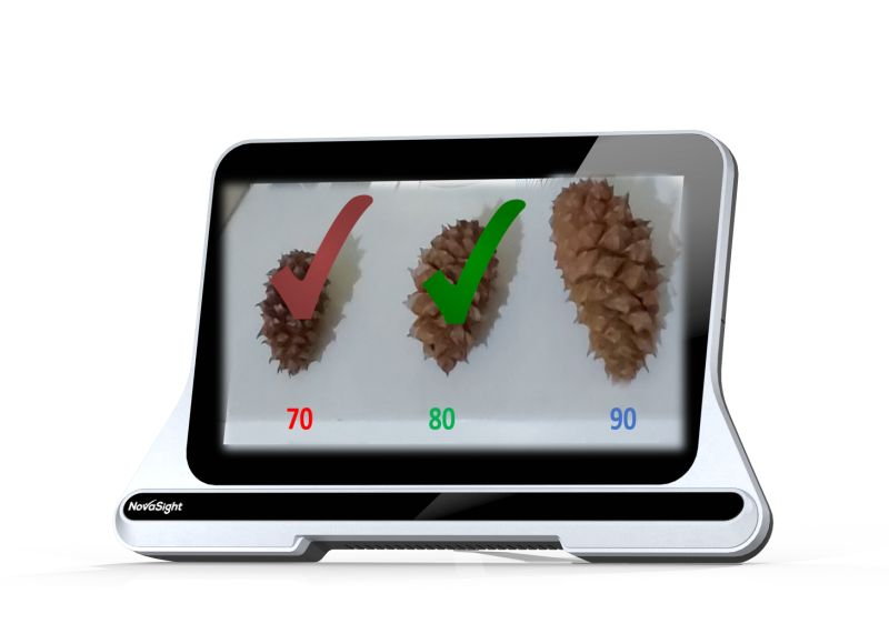 睿盟希被投企业NovaSight首个与“金标准”对照的弱视数字化治疗RCT研究即将中期揭盲医药新闻-ByDrug-一站式医药资源共享中心-医药魔方