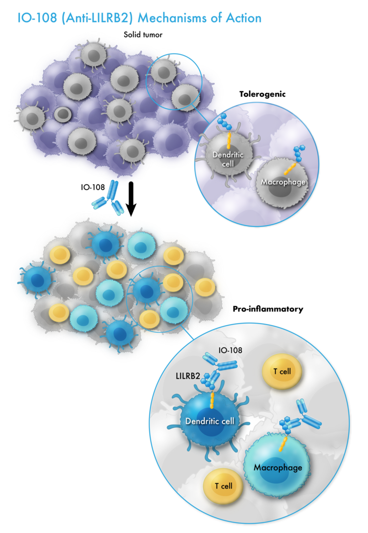 国产首个靶向LILRB2药物在美获批临床，治疗实体瘤医药新闻-ByDrug-一站式医药资源共享中心-医药魔方