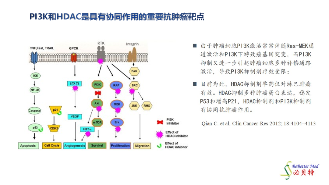 必贝特医药HDAC/PI3K双靶点抗癌新药拟突破性疗法医药新闻-ByDrug-一站式医药资源共享中心-医药魔方