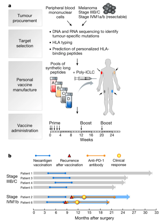 陈枢青点评 | 新抗原疫苗：开启癌症免疫治疗2.0时代医药新闻-ByDrug-一站式医药资源共享中心-医药魔方