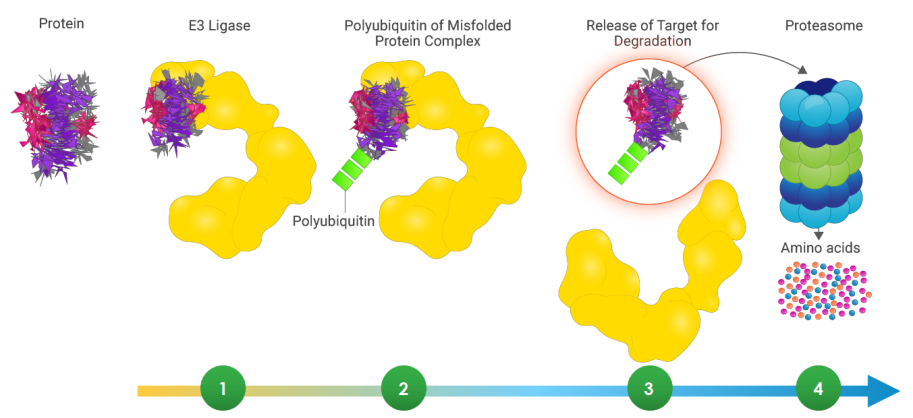 EGFR抑制剂开发归途：靶标降解医药新闻-ByDrug-一站式医药资源共享中心-医药魔方