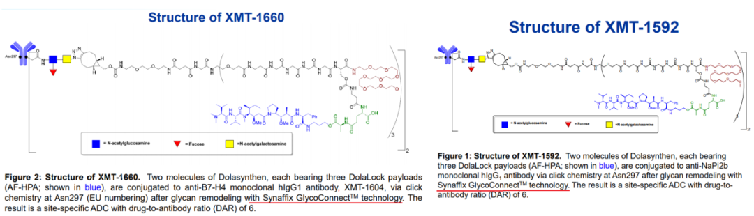 多项授权合作，Synaffix公司ADC专利技术解析医药新闻-ByDrug-一站式医药资源共享中心-医药魔方