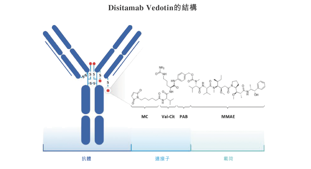 创新药出海新纪录！Seagen买下首款国产ADC的背后：刚需、技术路径、更划算医药新闻-ByDrug-一站式医药资源共享中心-医药魔方