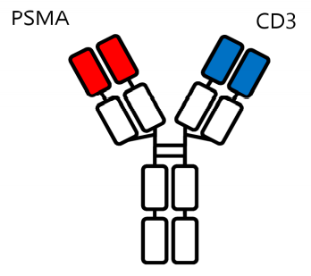 前列腺癌治疗中的双抗开发医药新闻-ByDrug-一站式医药资源共享中心-医药魔方