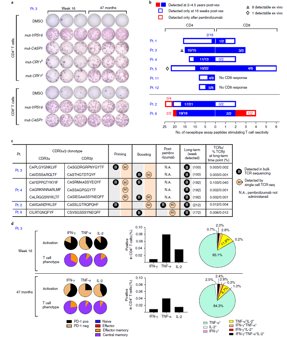 陈枢青点评 | 新抗原疫苗：开启癌症免疫治疗2.0时代医药新闻-ByDrug-一站式医药资源共享中心-医药魔方