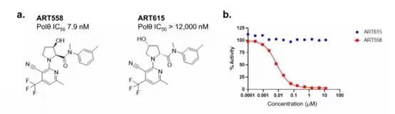 实力靶点Polθ：潜力迸发，巨头入局医药新闻-ByDrug-一站式医药资源共享中心-医药魔方