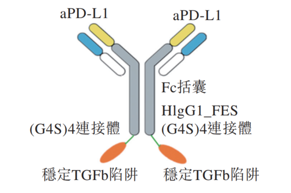 创胜集团PD-L1/TGF-β双抗临床申请获受理医药新闻-ByDrug-一站式医药资源共享中心-医药魔方