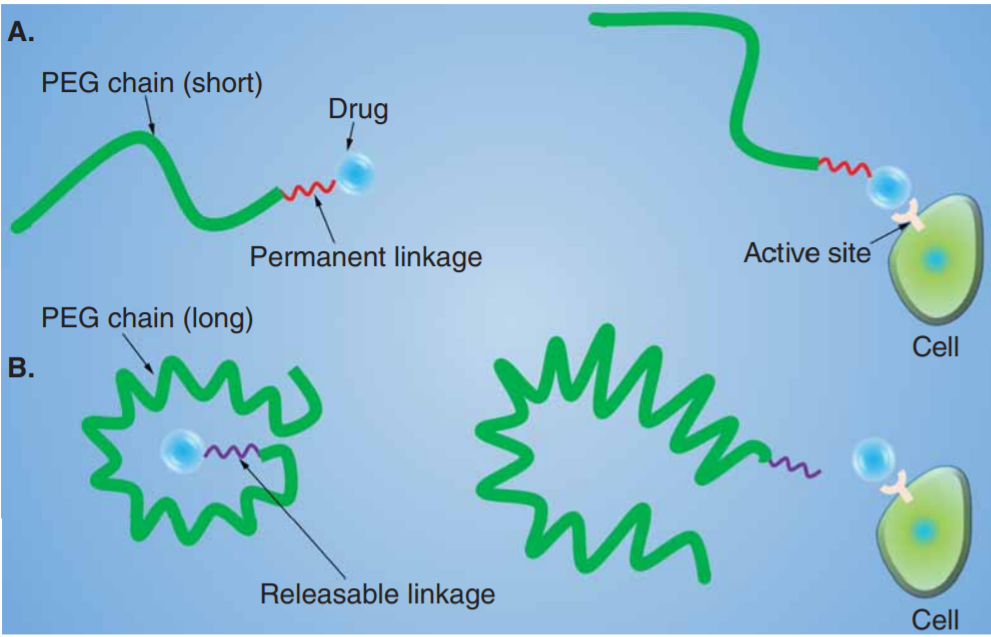 生物分析专栏 | PEG修饰药物的药代动力学和生物分析医药新闻-ByDrug-一站式医药资源共享中心-医药魔方