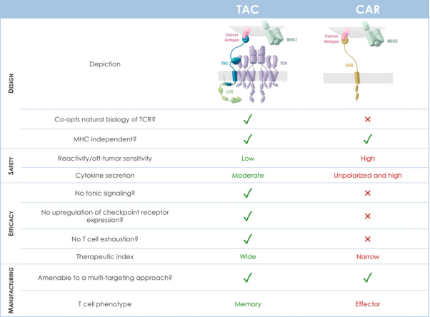 Triumvira：新一代T细胞疗法TAC技术已经启动首个病人的治疗医药新闻-ByDrug-一站式医药资源共享中心-医药魔方