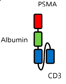 前列腺癌治疗中的双抗开发医药新闻-ByDrug-一站式医药资源共享中心-医药魔方