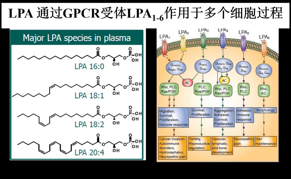医药魔方-数十万医药人来这里查数据、找品种、找企业、抓机会